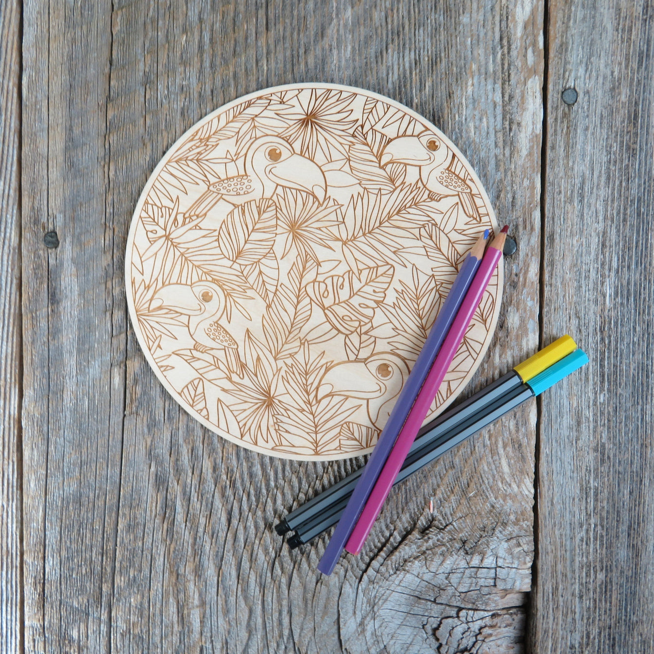 Color Your Own Wood Art - DIY - Wood - Coloring Project - Craft Supply ...
